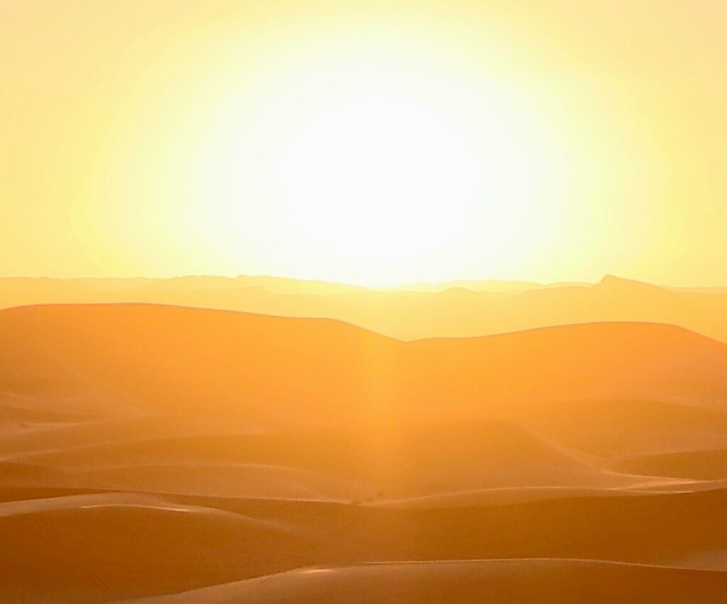 SAHAR (SAMPLE) – PRIN