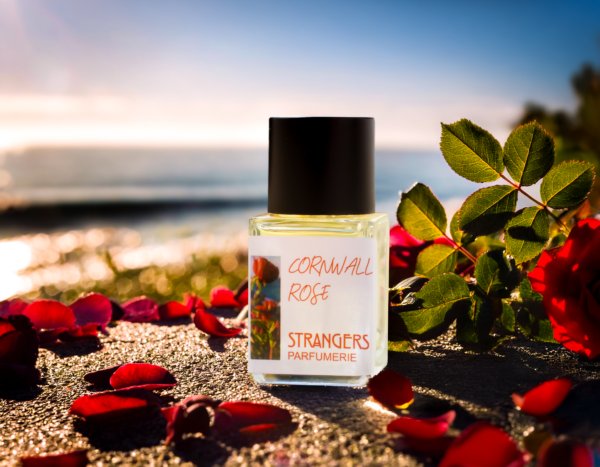CORNWALL ROSE – PRIN