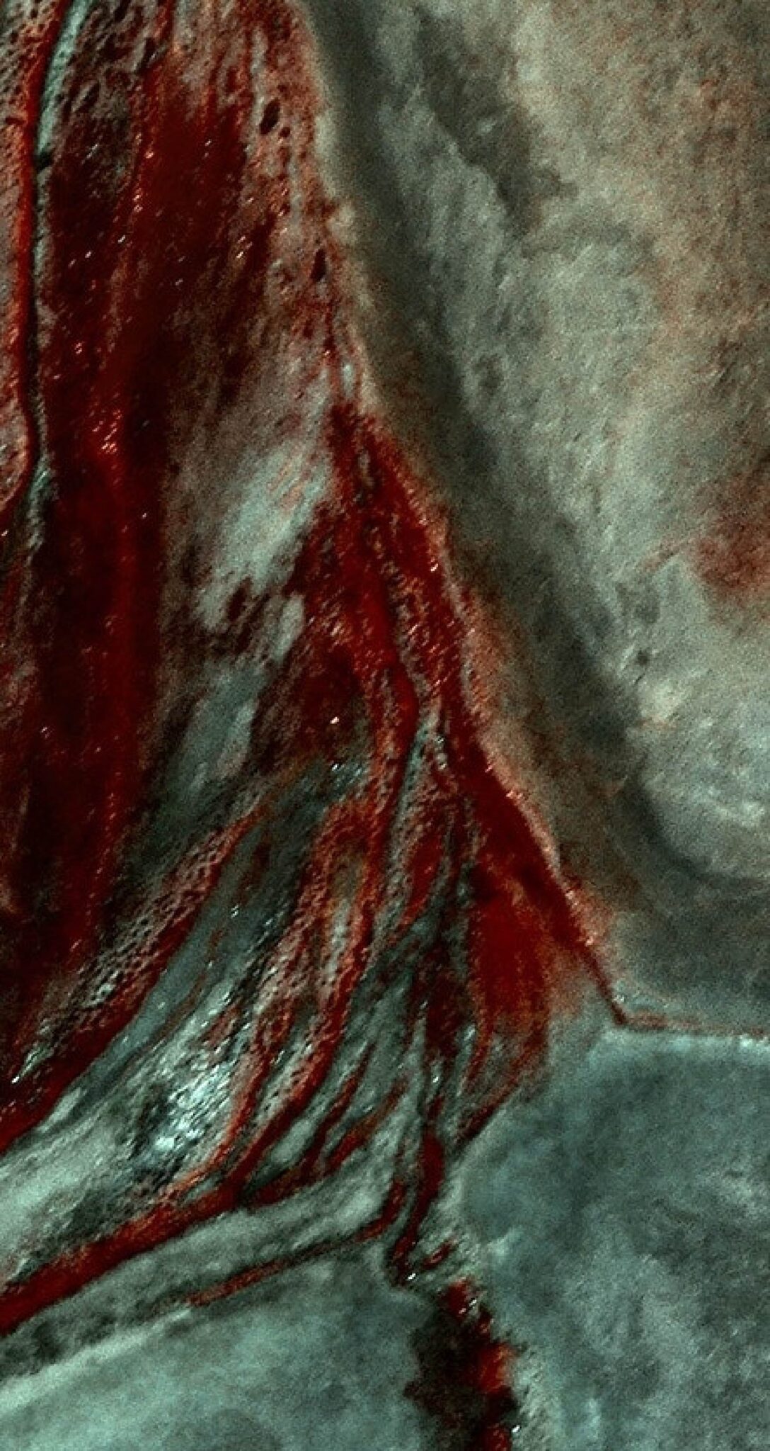 VIRGINIA (SAMPLE) – PRIN